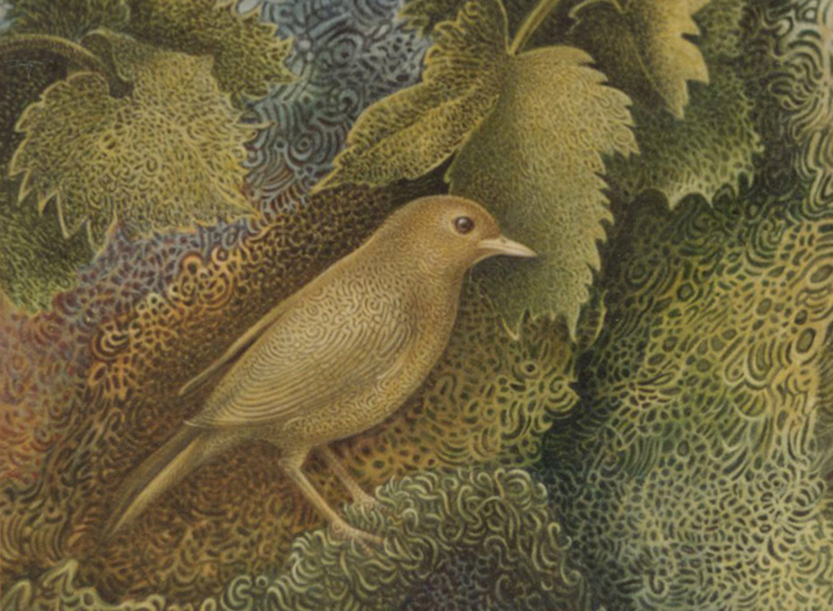 Anthony Pates – Artist | SerenArts Gallery